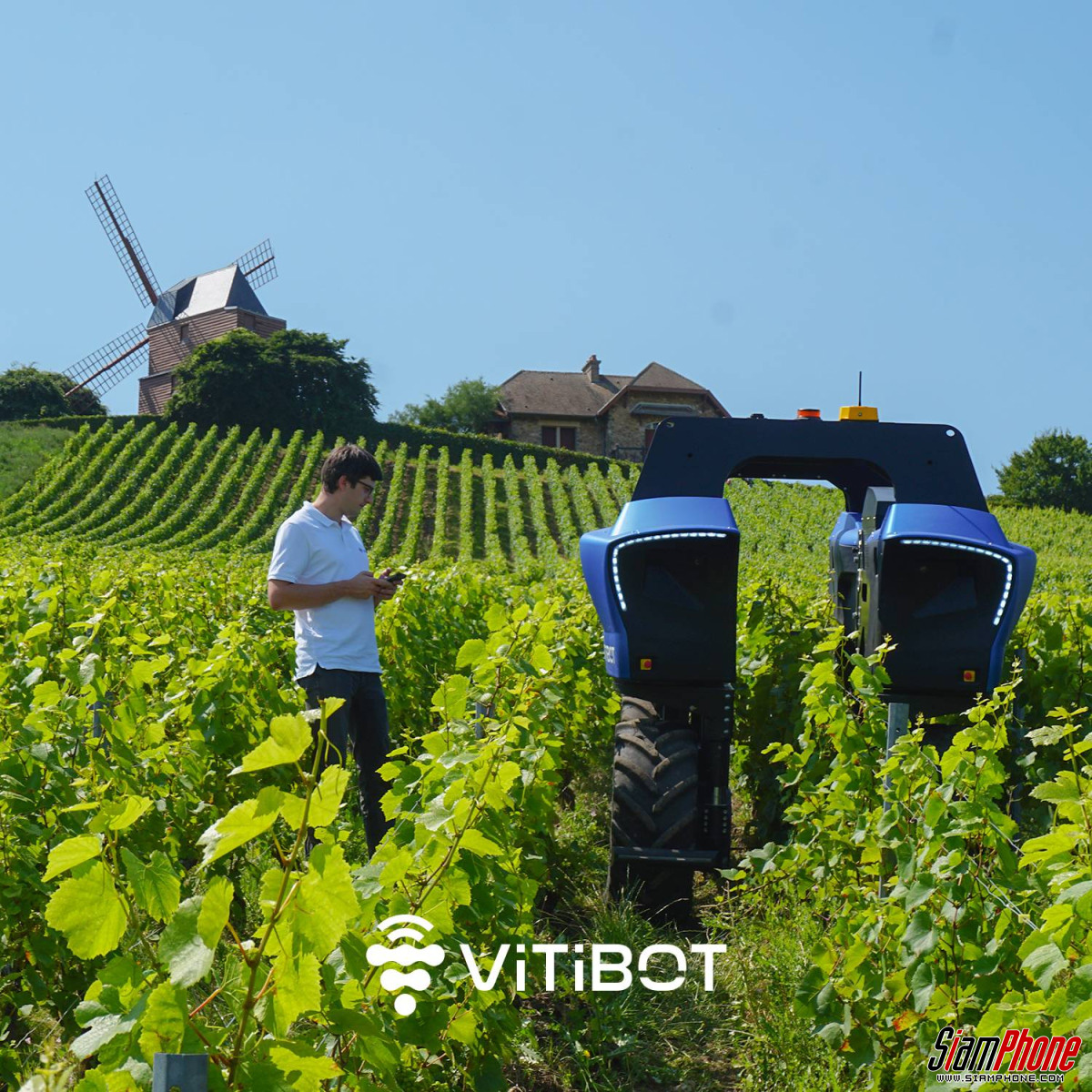 VitiBot เปิดตัวหุ่นยนต์ สำหรับจัดการไร่องุ่น