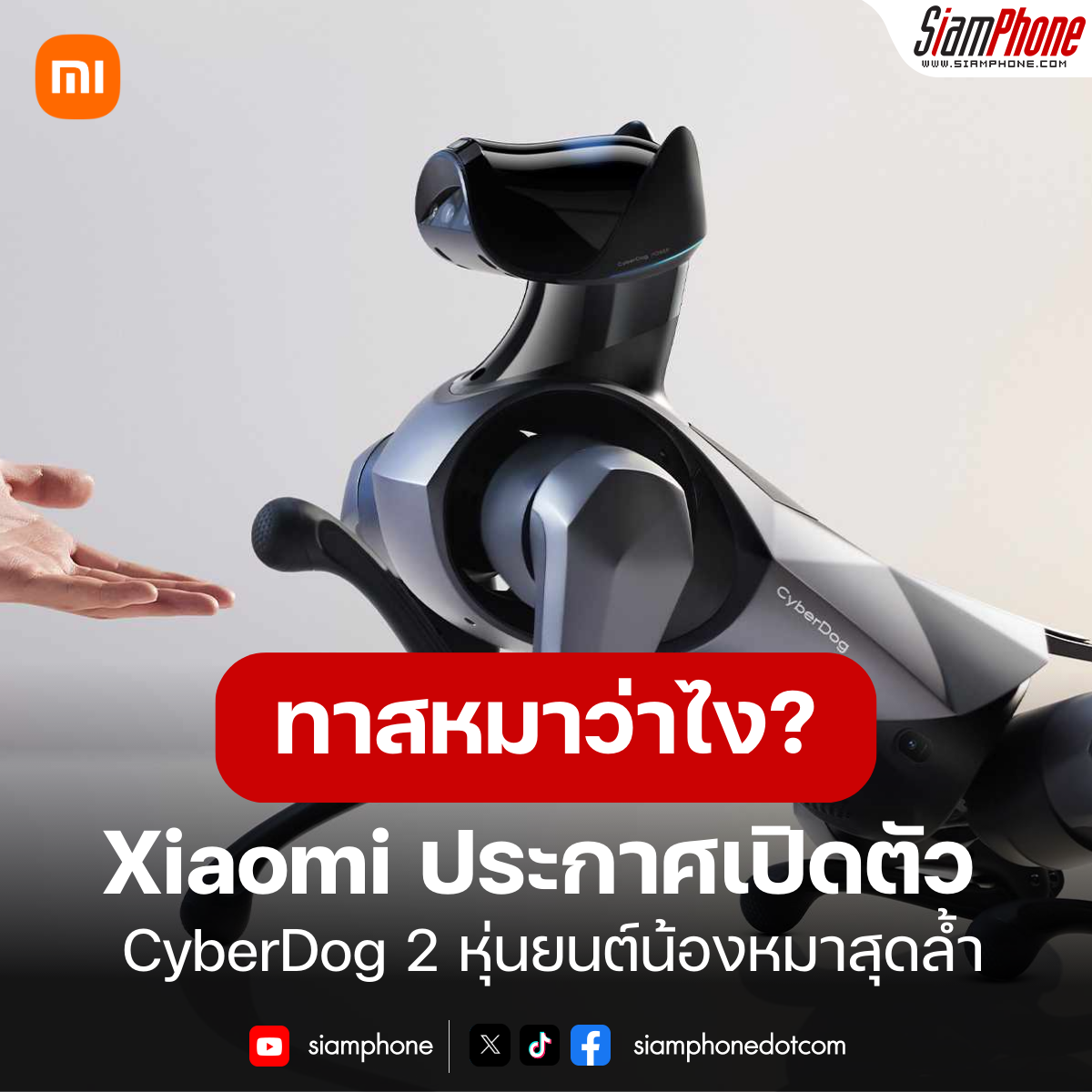 Xiaomi ประกาศเปิดตัว CyberDog 2 หุ่นยนต์น้องหมาสุดล้ำ พร้อมเซนเซอร์มาก ...