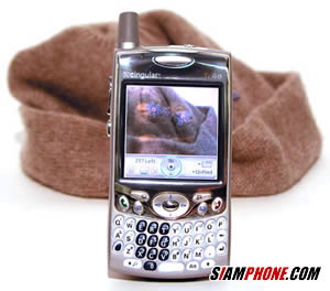 Treo 650 Smartphone - Siamphone.com